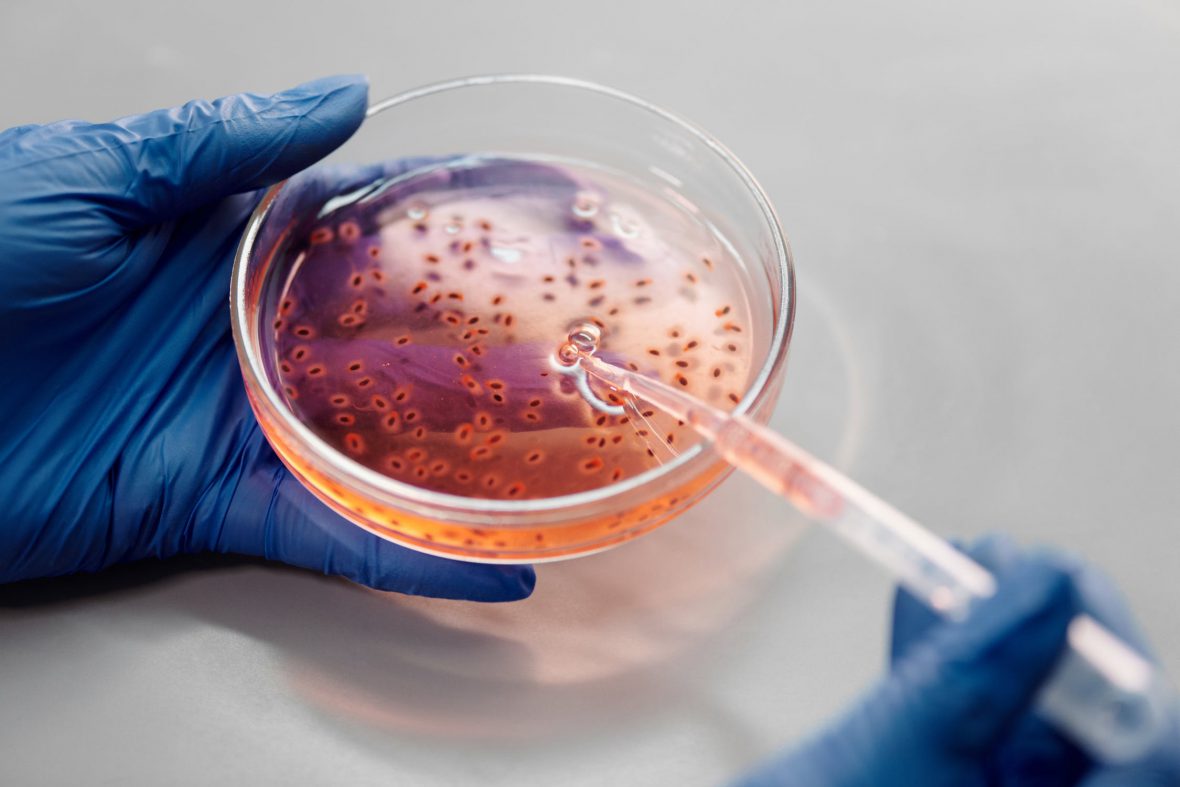 Life Science Digital Marketing Strategy | Three Seven